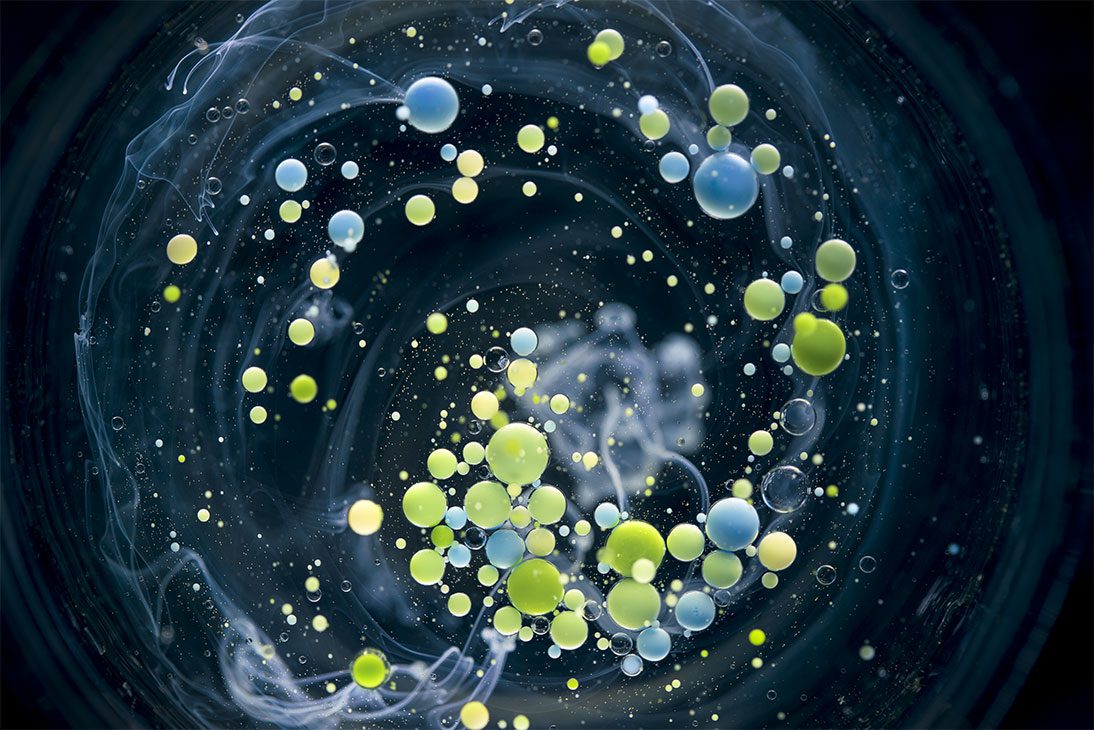 Spotlight: Emily Bowers - PhotoBite