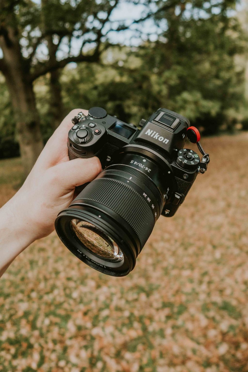 NIKON Z 7 & Z 6 Now Supports RAW Video Output and Dedicated 3D LUT for ...