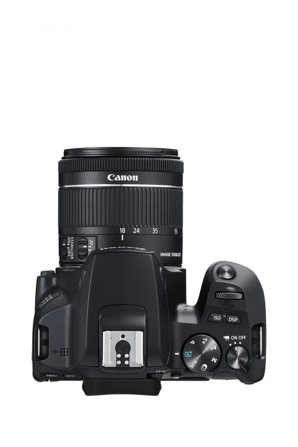 Canon EOS 250D: World’s lightest DSLR with 4K and articulating screen ...