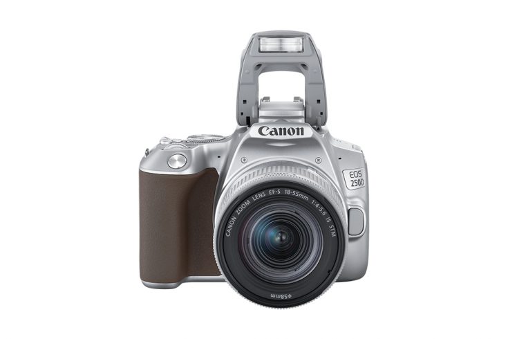 Canon EOS 250D: World’s lightest DSLR with 4K and articulating screen ...