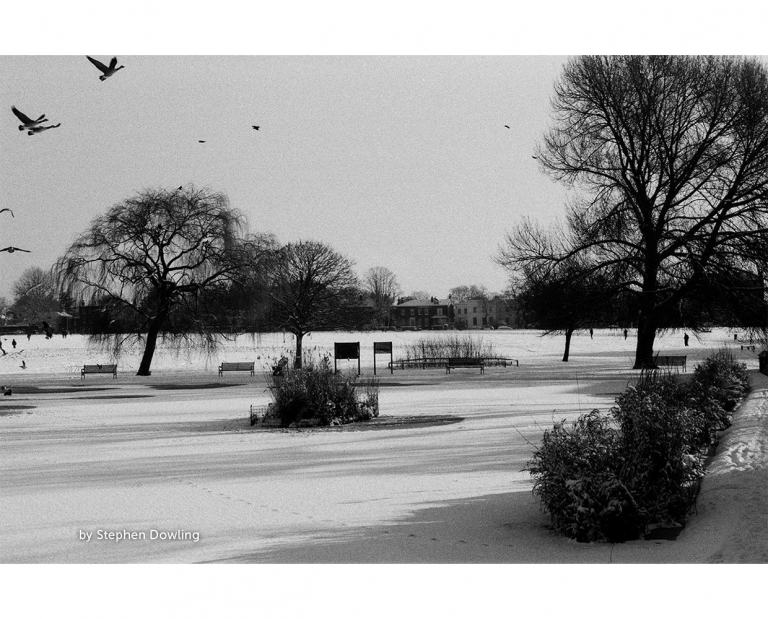 Kosmo Foto Mono 35mm ISO 100 – PhotoBite