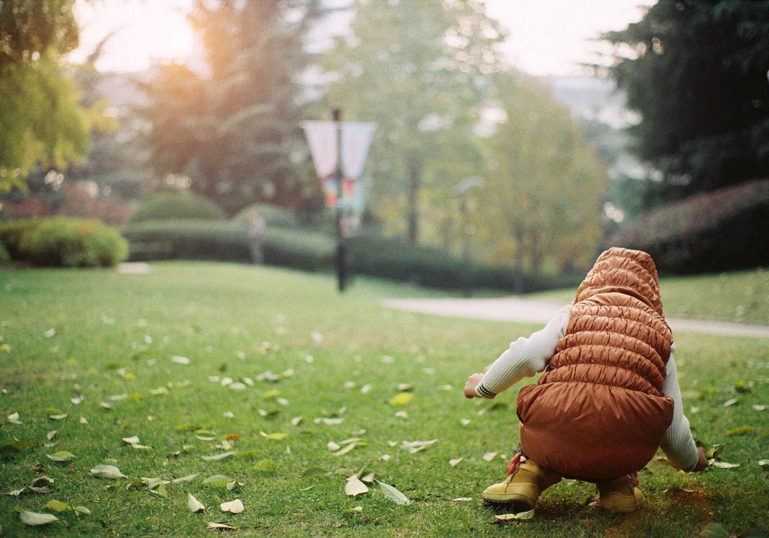 Kodak Ektar 100 35mm Film 36 exp – PhotoBite